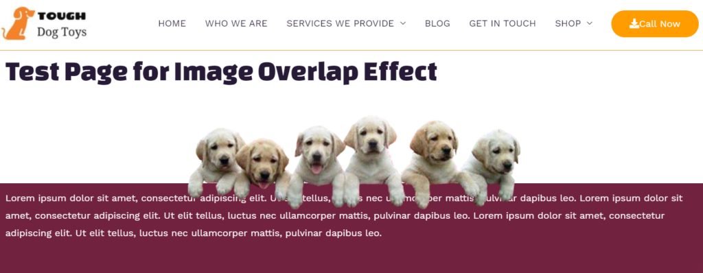 How to add a transparent image overlap effect in WordPress | ITFixed Computer Services