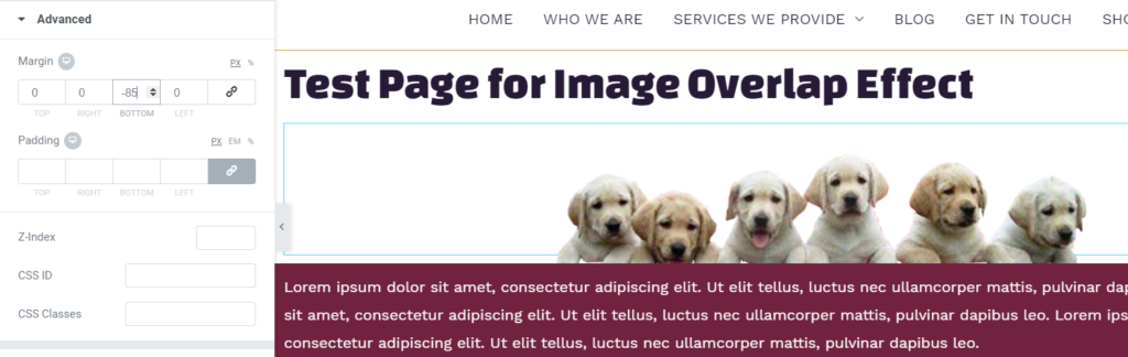 How to add a transparent image overlap effect in WordPress | ITFixed Computer Services